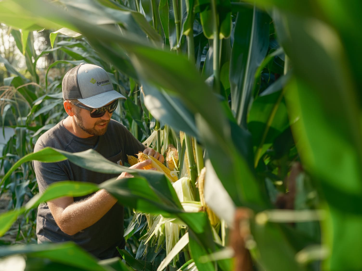 Local farmers receive $4.7 million from Farm Credit Mid-America ...